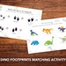 Match Dinosaur Footprints, Dinosaur Activity, Preschool Curriculum ...