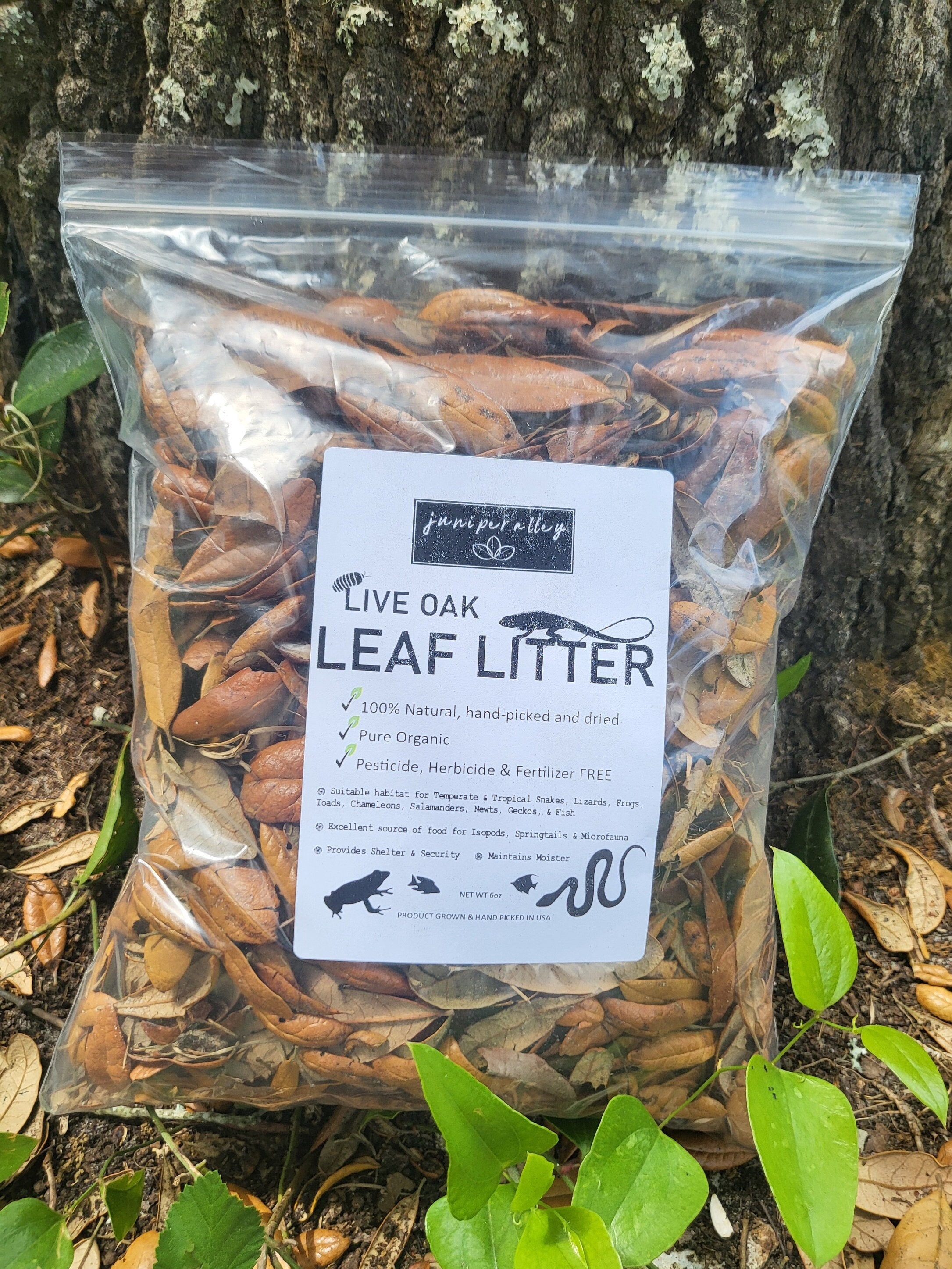 Live Oak Leaf Litter for Aquariums, Terrariums and Any Bio-active ...