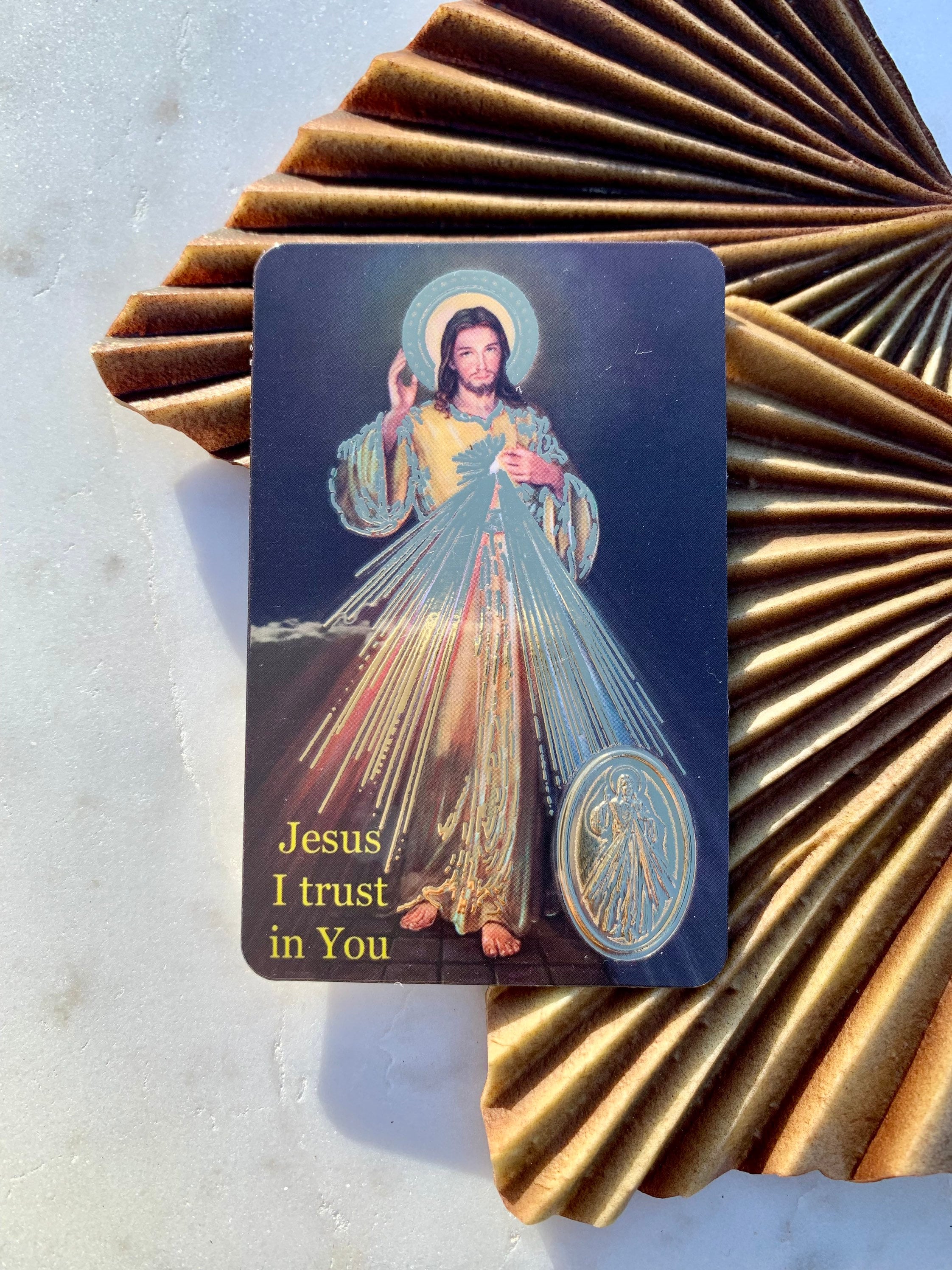 The Chaplet of the Divine Mercy Prayer Card, Wallet Size Prayer Card ...