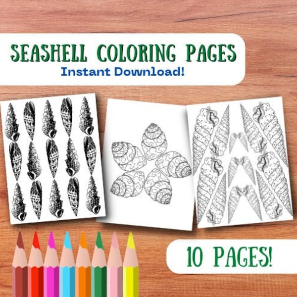Seashell Coloring Pages - Etsy