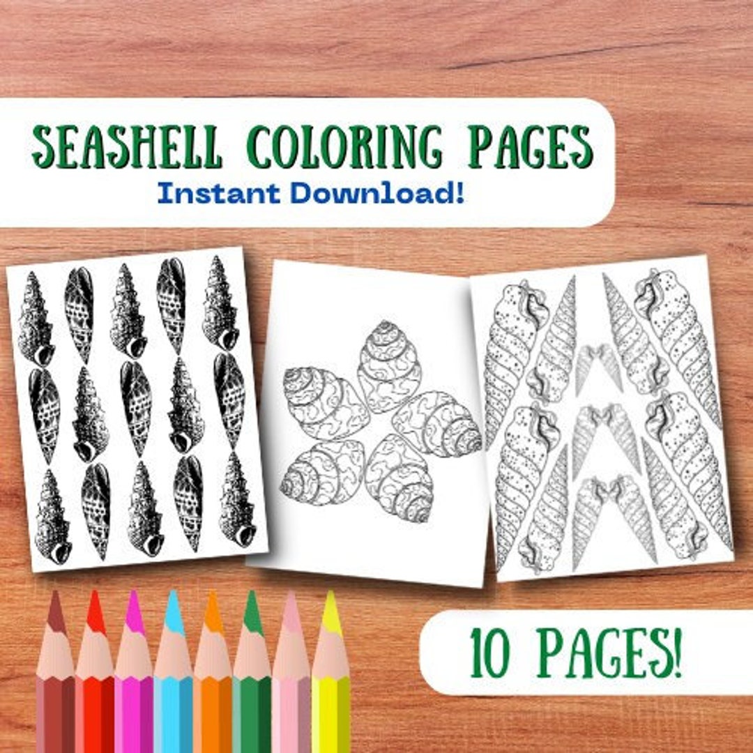 Downloadable Seashell Coloring Pages | Printable Seashell Pages ...