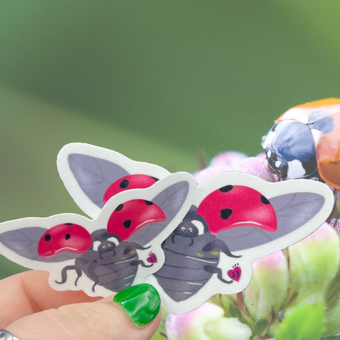 Ladybug Sticker 4 - Etsy