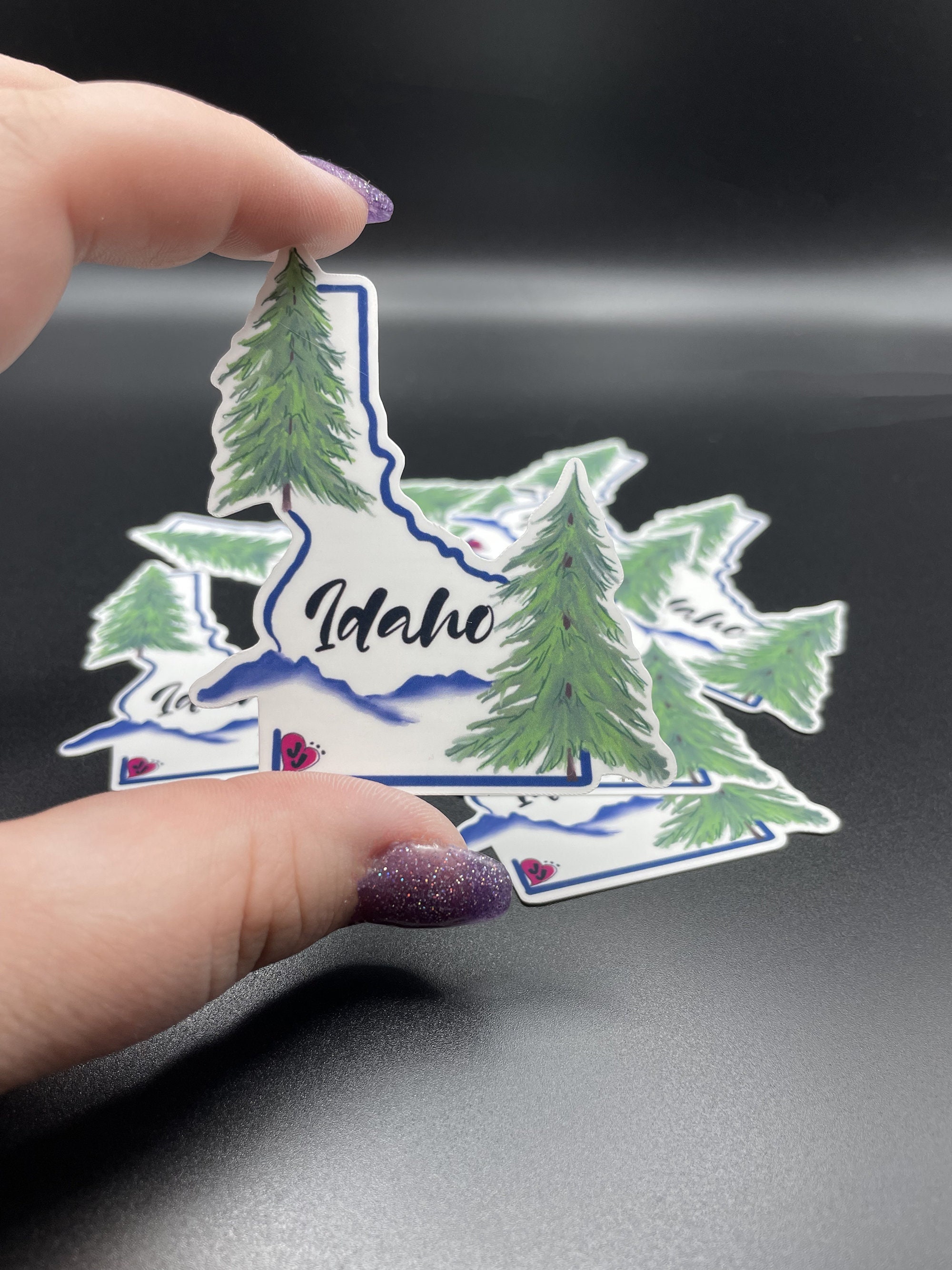 Idaho State Outline Sticker - Etsy