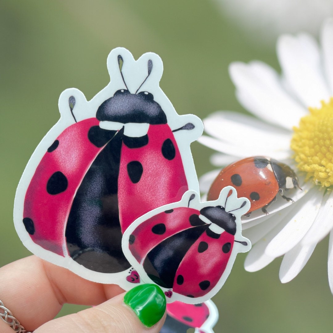 Ladybug Sticker 3 - Etsy