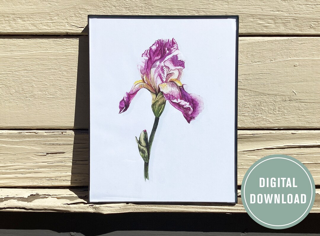 Watercolor Iris Print / Digital Download / Purple Iris / Flower Print ...