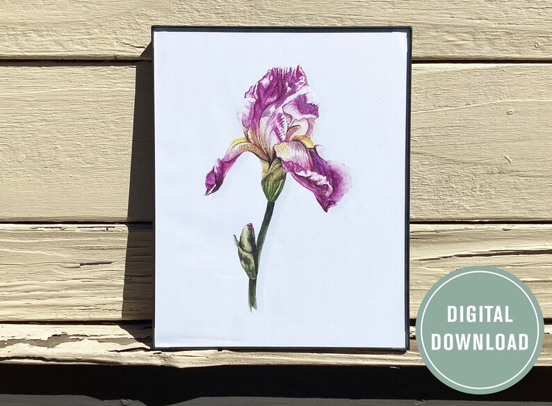 Watercolor Iris Print / Digital Download / Purple Iris / Flower Print ...