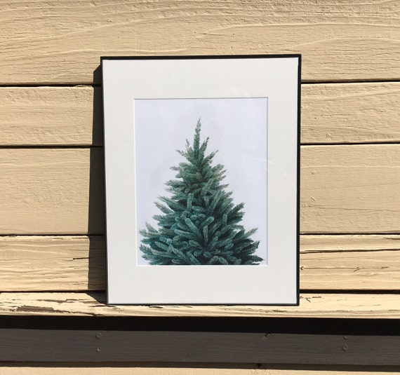 Watercolor Pine Tree Digital Download Spruce Evergreen - Etsy