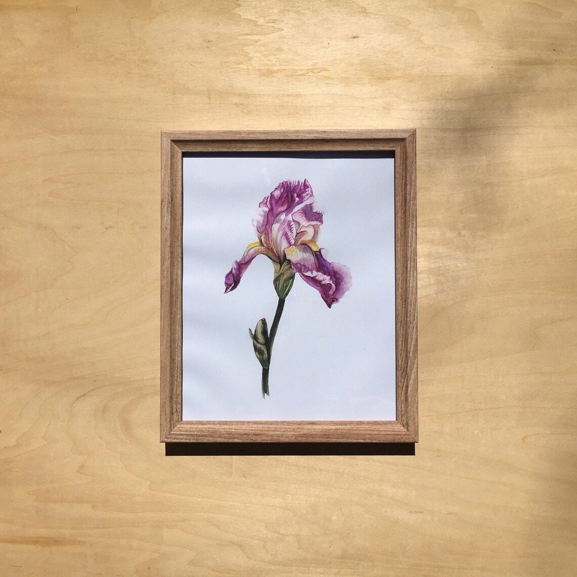 Watercolor Iris Print / Digital Download / Purple Iris / - Etsy