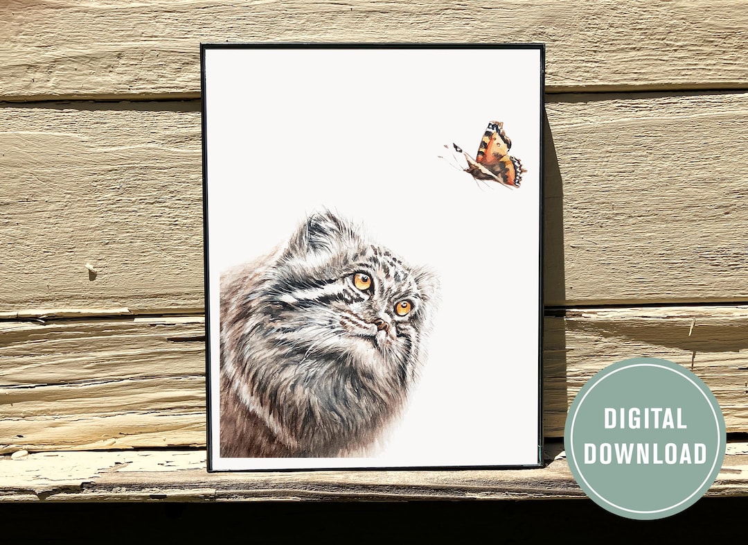 Watercolor Pallas Cat,grumpy Cat,original Grumpy Cat,manul ...