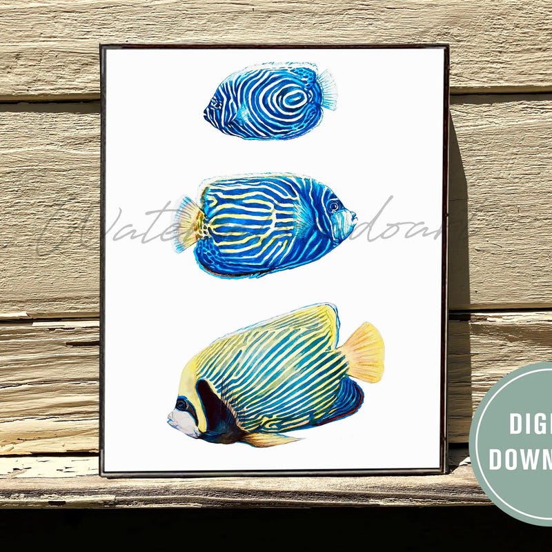 Angelfish Painting - Etsy