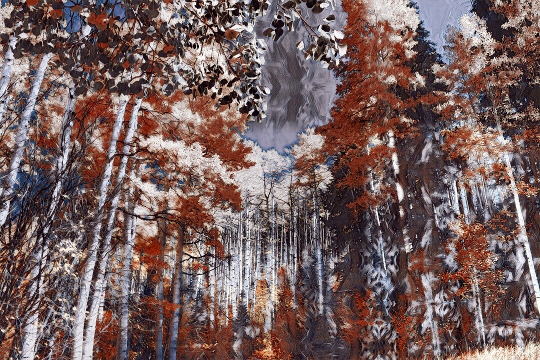 Digital Art Download Fall Colors 2 Photo Art Wall Decor - Etsy