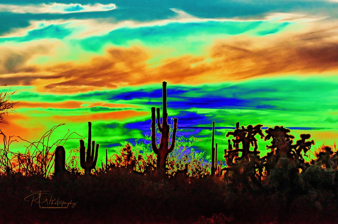Digital Art Download Saguaro Sunset Solarized Photo Art Wall Decor - Etsy
