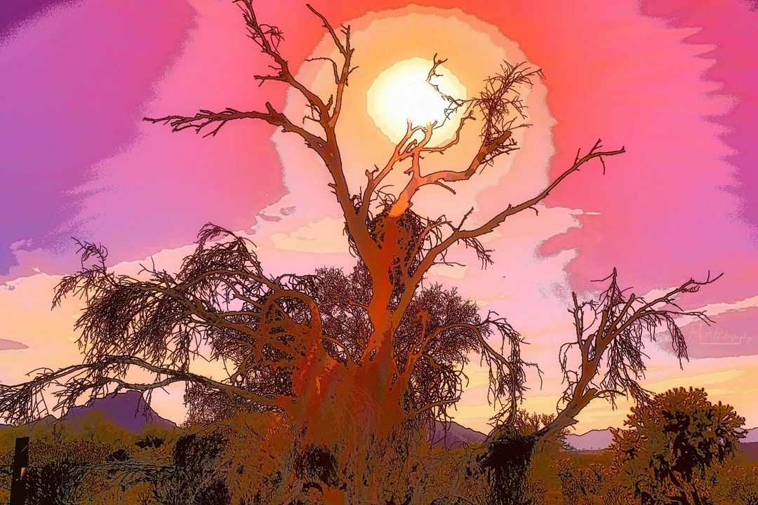 Digital Art Download Spooky Desert Tree 1 Photo Art Wall Decor - Etsy
