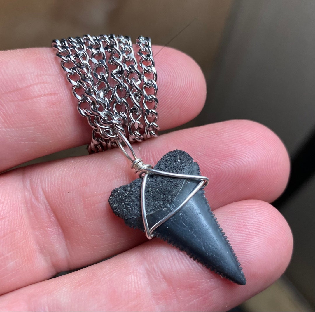 Fossil Great White Shark Tooth Necklace Silver Wire & Stainless Steel ...