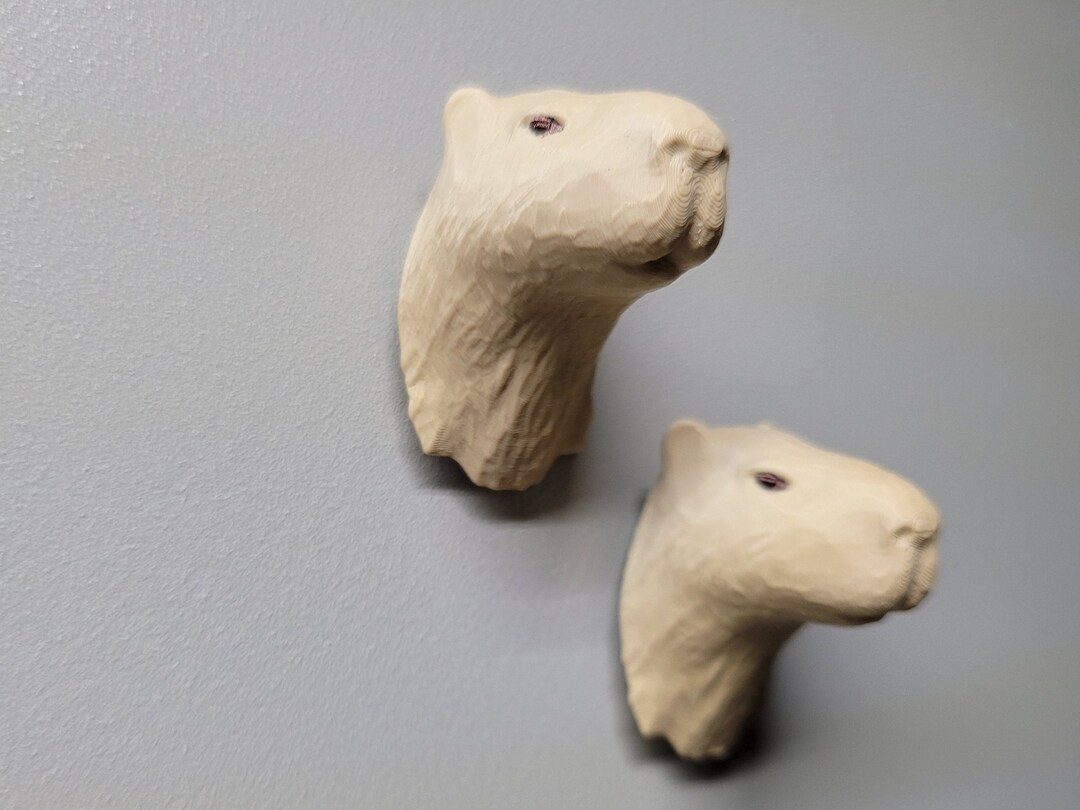 Capybara Magnet Pack of 2 Tiktok Star Cute Capybara - Etsy