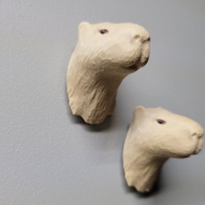 Capybara Magnet Pack of 2 Tiktok Star Cute Capybara - Etsy