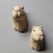 Capybara Magnet Pack of 2 Tiktok Star Cute Capybara - Etsy