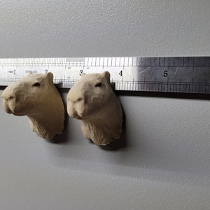 Capybara Magnet Pack of 2 Tiktok Star Cute Capybara - Etsy
