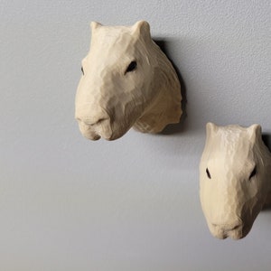 Capybara Magnet Pack of 2 Tiktok Star Cute Capybara - Etsy