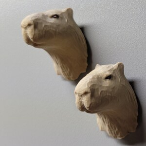 Capybara Magnet Pack of 2 Tiktok Star Cute Capybara - Etsy