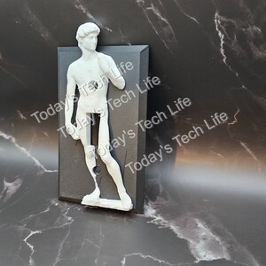 Michelangelo's David Light Switch Cover: 3D Sculpture, Sophisticated ...