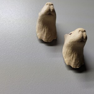 Capybara Magnet Pack of 2 Tiktok Star Cute Capybara - Etsy