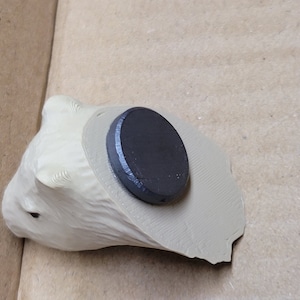 Capybara Magnet Pack of 2 Tiktok Star Cute Capybara - Etsy