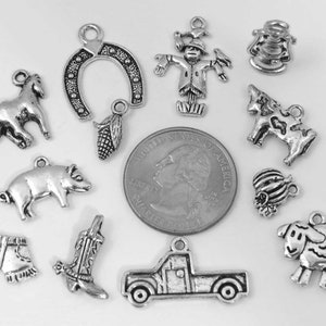 Set of 12 Barnyard Charms, Down on the Farm Collection, Assorted Farm ...