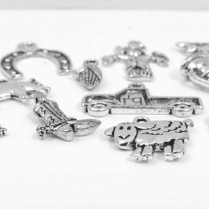 Set of 12 Barnyard Charms, Down on the Farm Collection, Assorted Farm ...