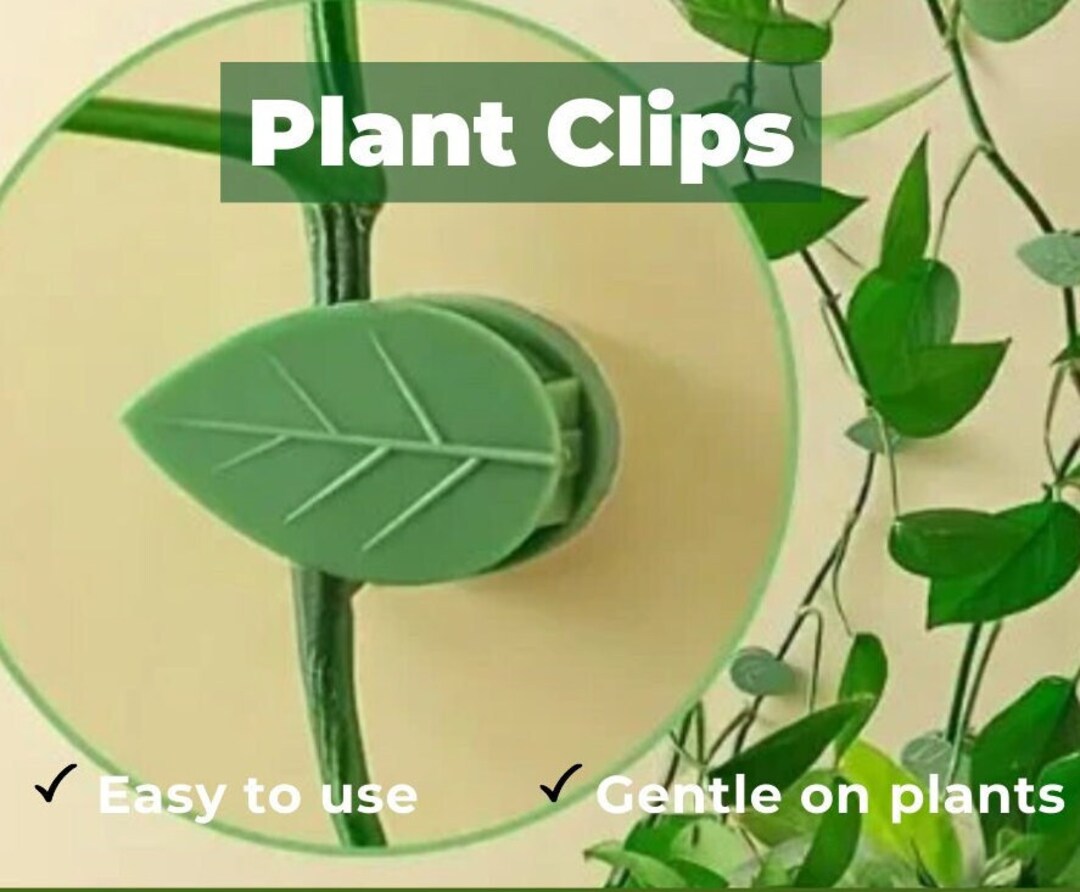 Plant Clips, Vine Plant Wall Clips, Houseplant Accessories, Plant ...