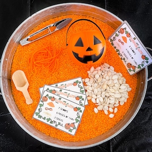 Pumpkin Guts Sensory Bin Kit + Counting Cards | Halloween Sensory Bin ...