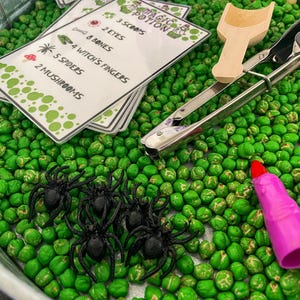 Magic Potion Sensory Bin Counting Cards *DIGITAL FILE | Halloween ...
