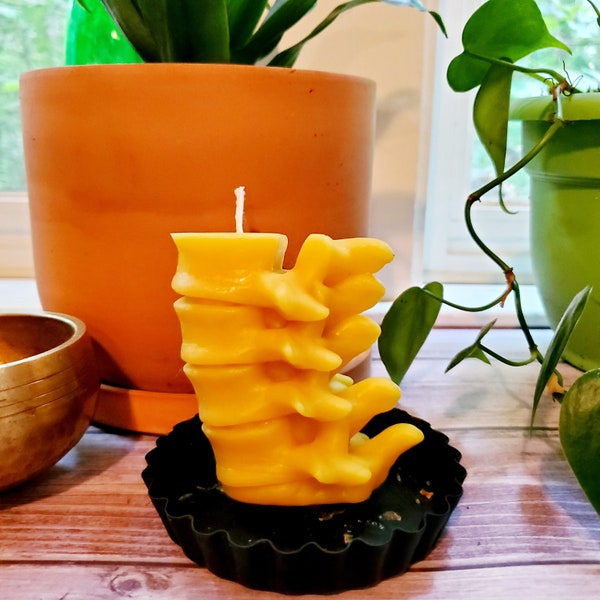 Spine Candle Molds - Etsy