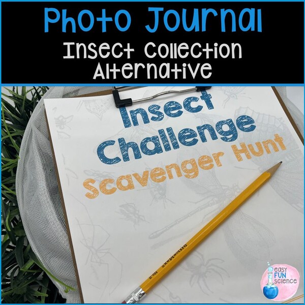 Insect Collection - Etsy