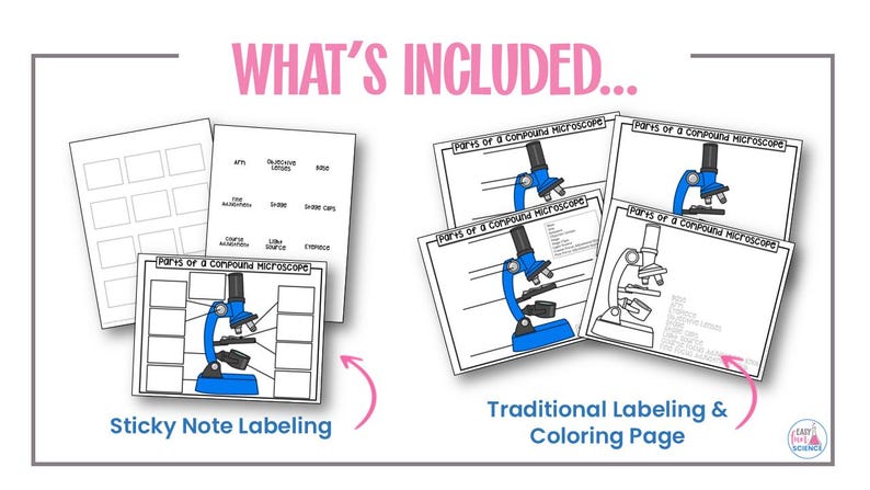 Microscope Labeling Activity, Microscope Parts, Microscope Diagram ...