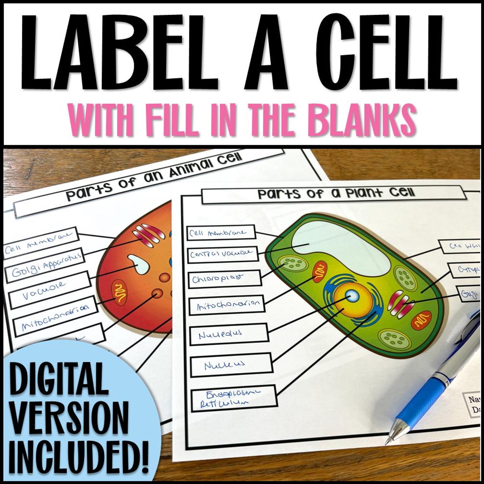 Cell Labeling Diagrams, Animal Cell Labeling, Plant and Animal Cell ...