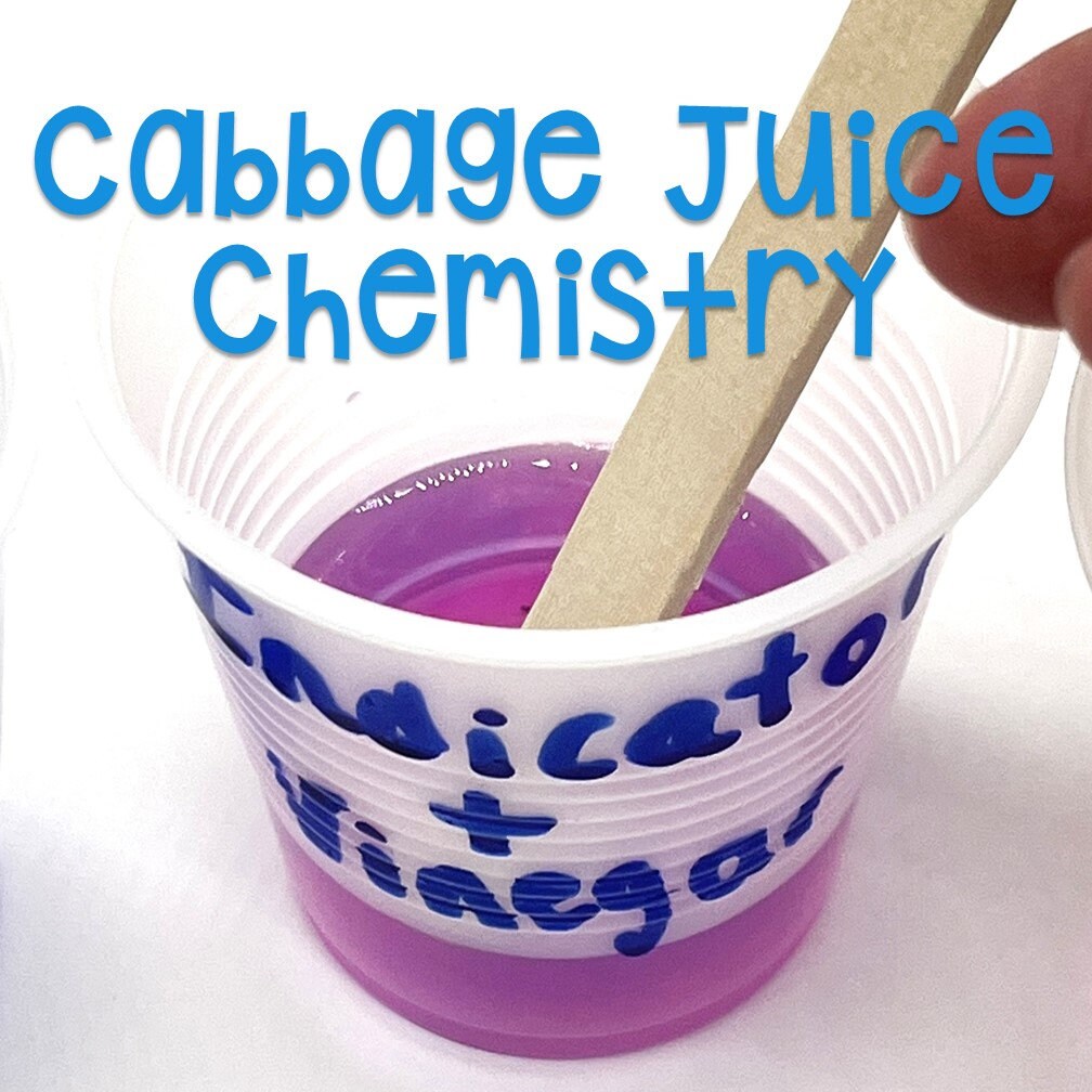 Acids Vs Bases Labs | Editable | Digital - Etsy