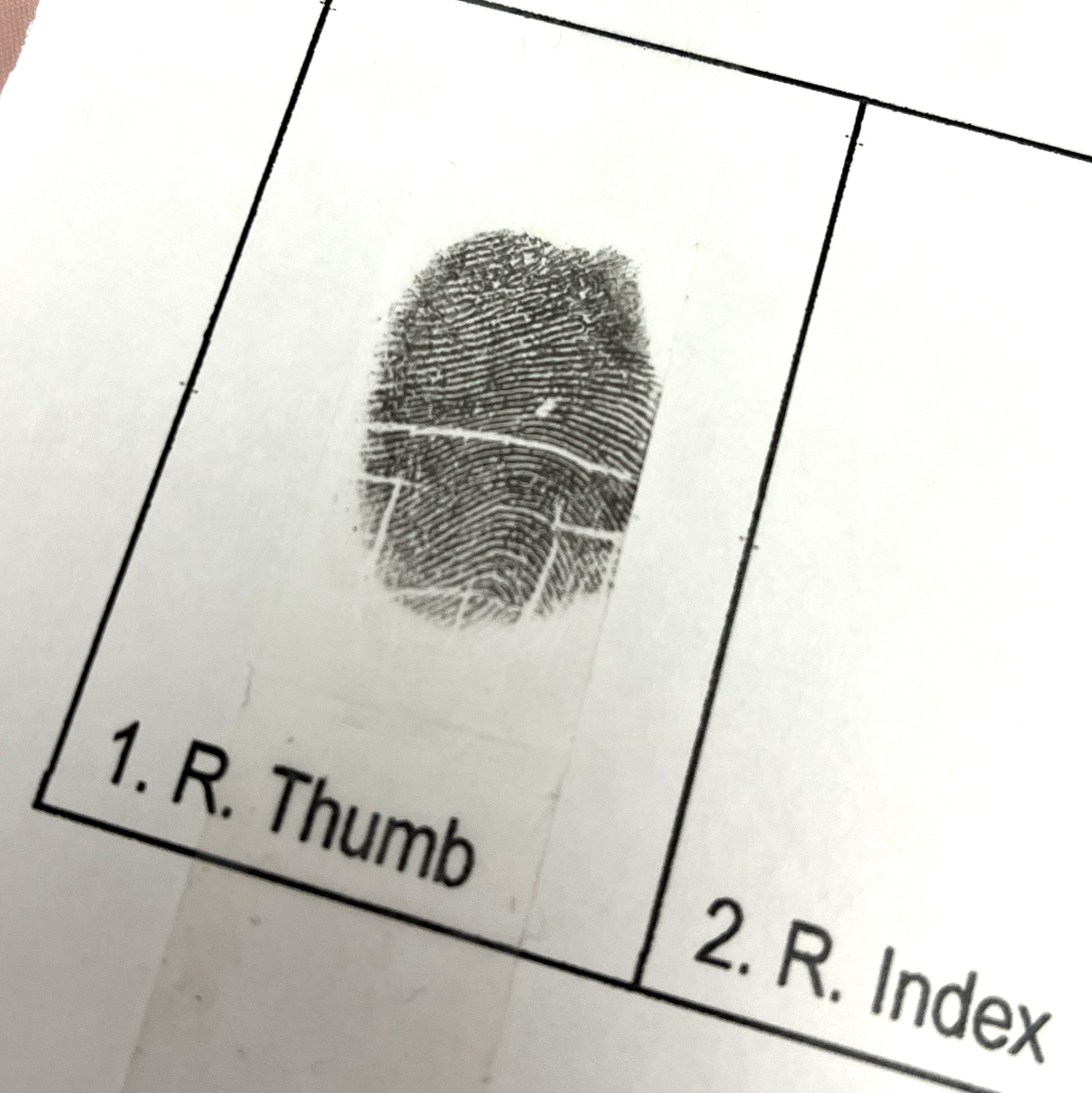 Fingerprint Activity for Kids - Etsy
