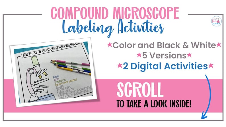 Microscope Labeling Activity, Microscope Parts, Microscope Diagram ...