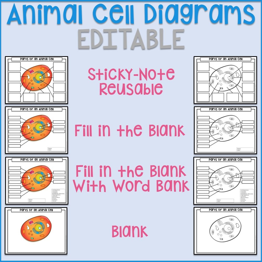 Cell Labeling Diagrams Editable Digital - Etsy