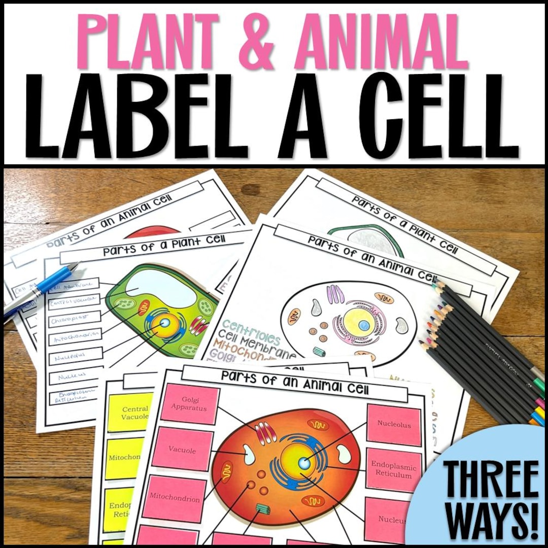 Cell Labeling Diagrams, Animal Cell Labeling, Plant and Animal Cell ...