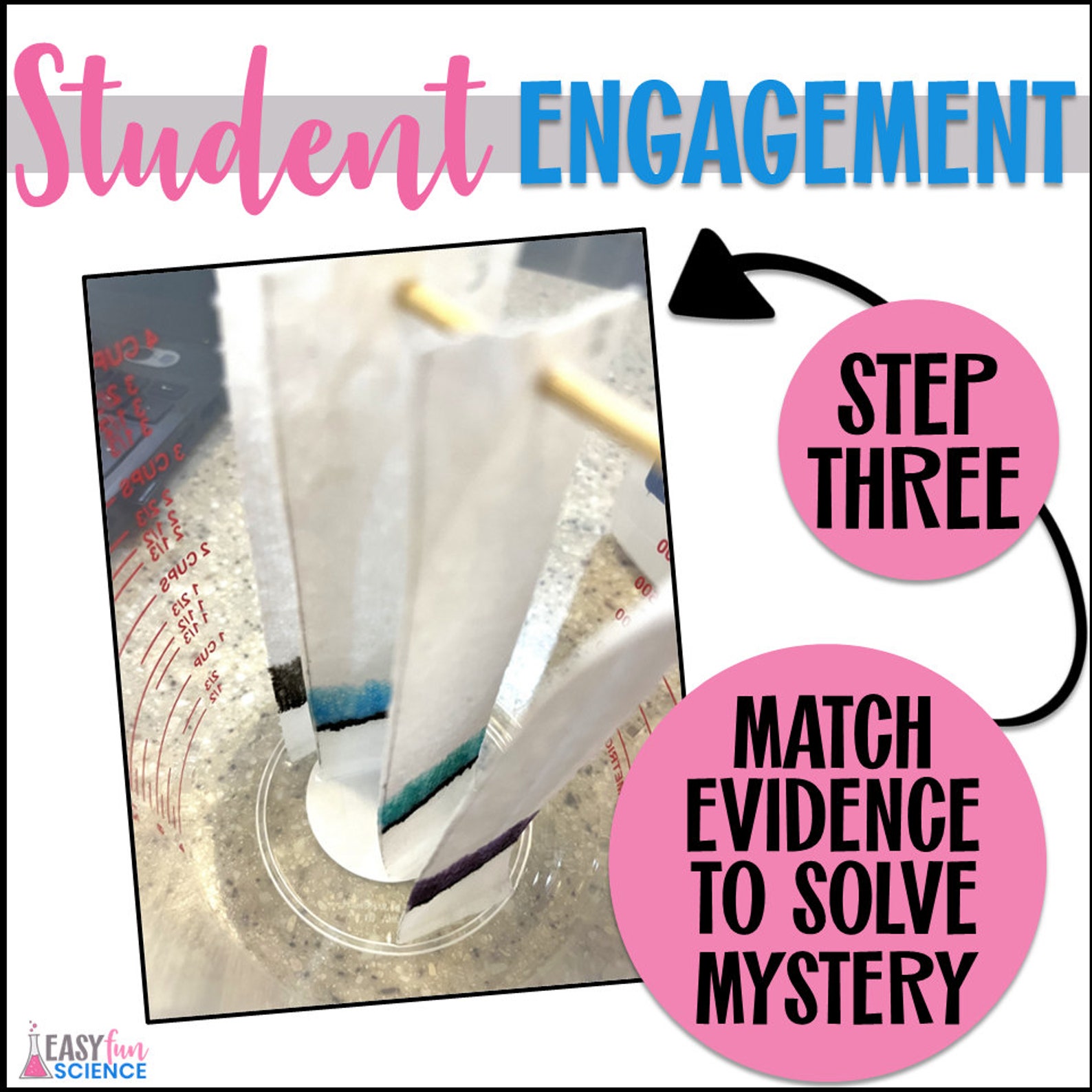 Chemistry in Forensics | Chromatography Activity - Etsy