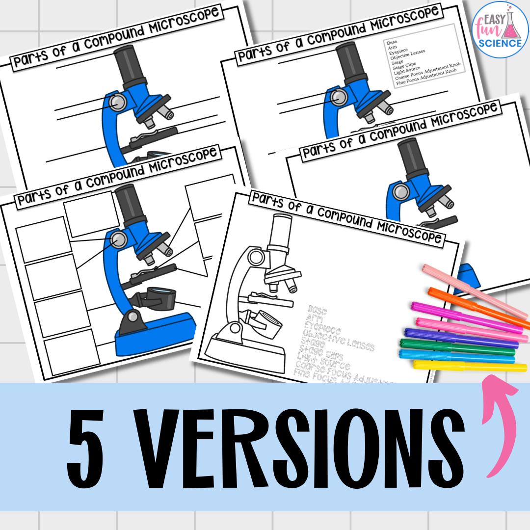 Microscope Labeling Activity, Microscope Parts, Microscope Diagram ...