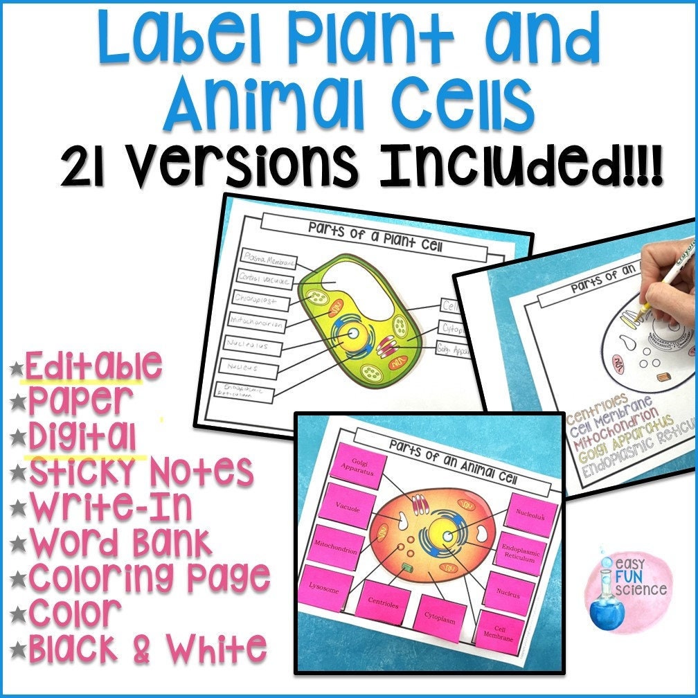 Cell Labeling Diagrams Editable Digital - Etsy