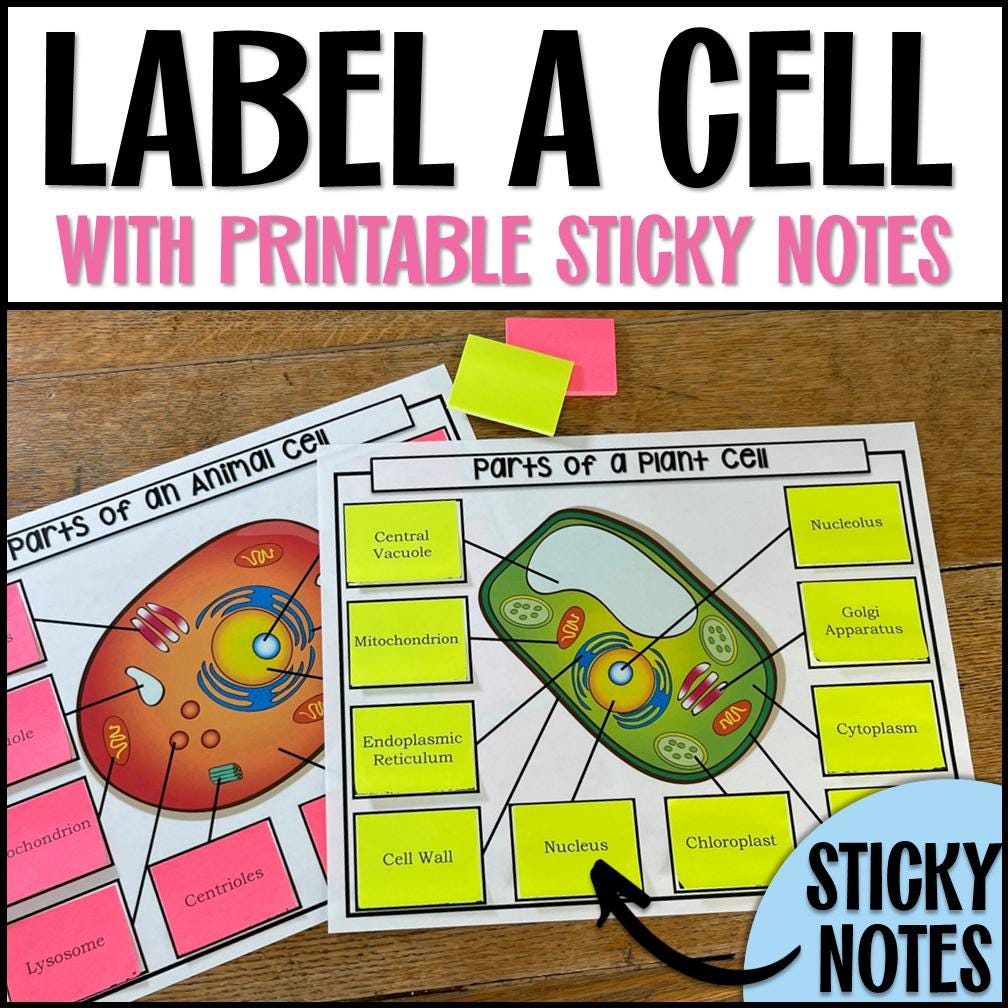 Cell Labeling Diagrams, Animal Cell Labeling, Plant and Animal Cell ...