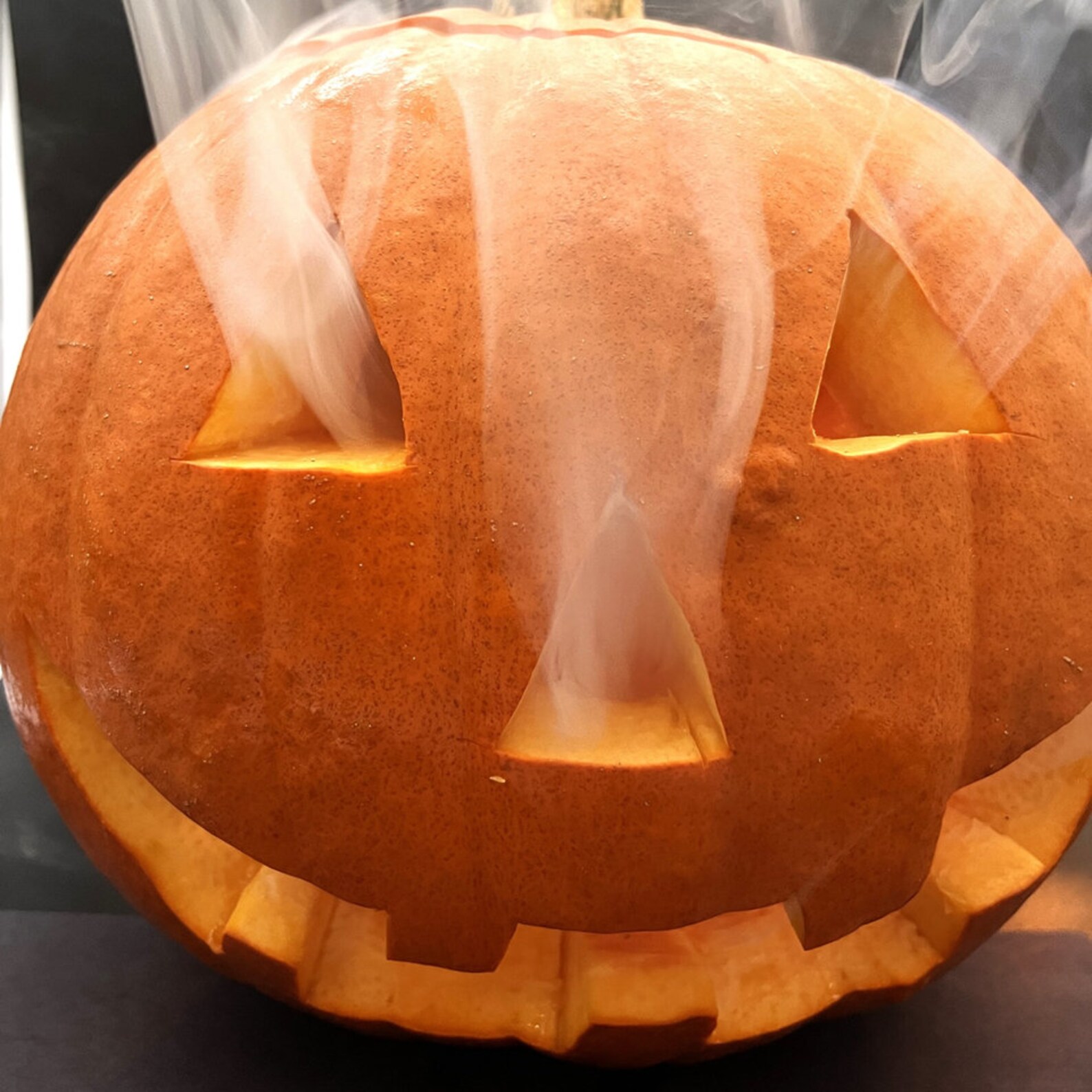 Halloween Object Lesson - Life is a Vapor & DIY Fogging Chamber - Etsy