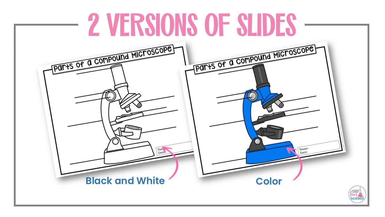 Microscope Labeling Activity, Microscope Parts, Microscope Diagram ...