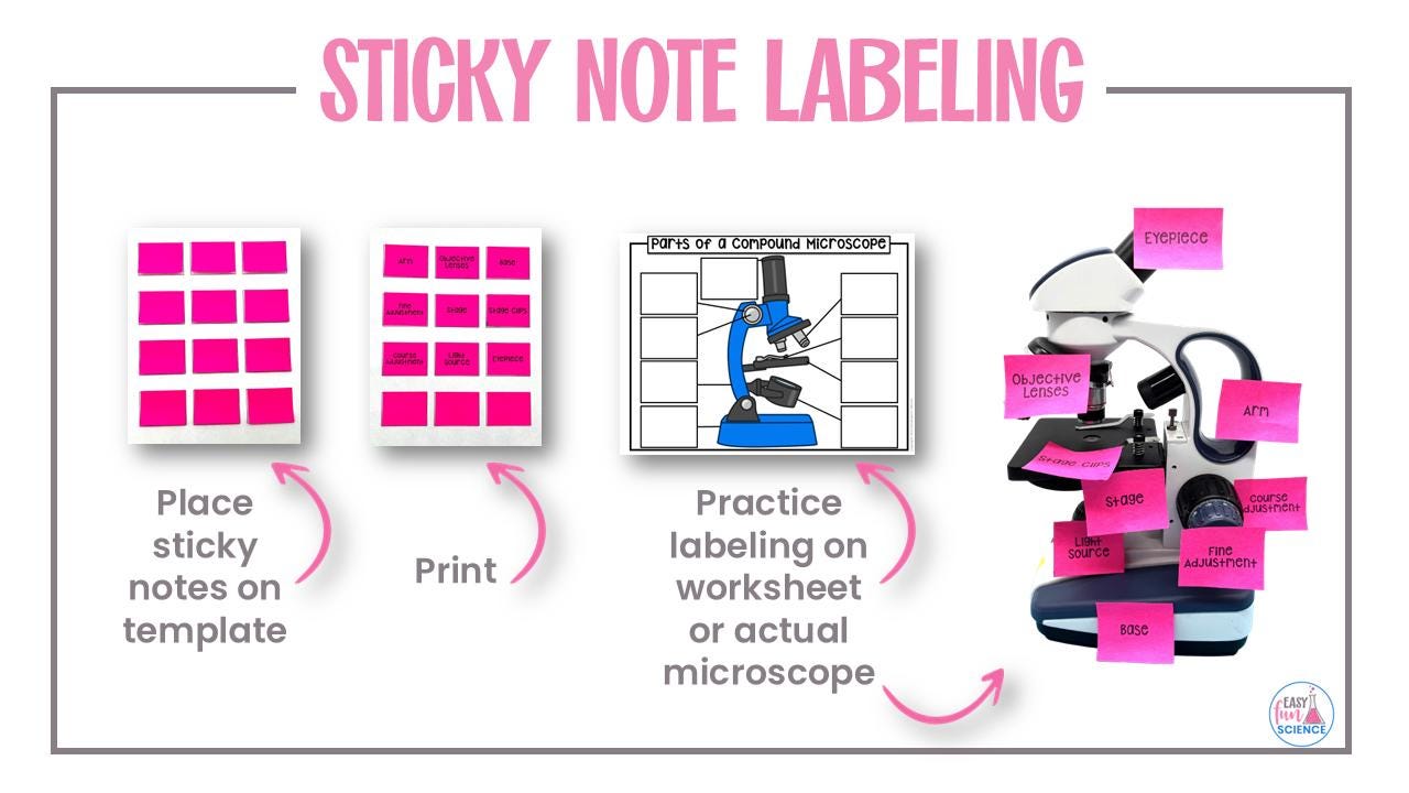 Microscope Labeling Activity, Microscope Parts, Microscope Diagram ...