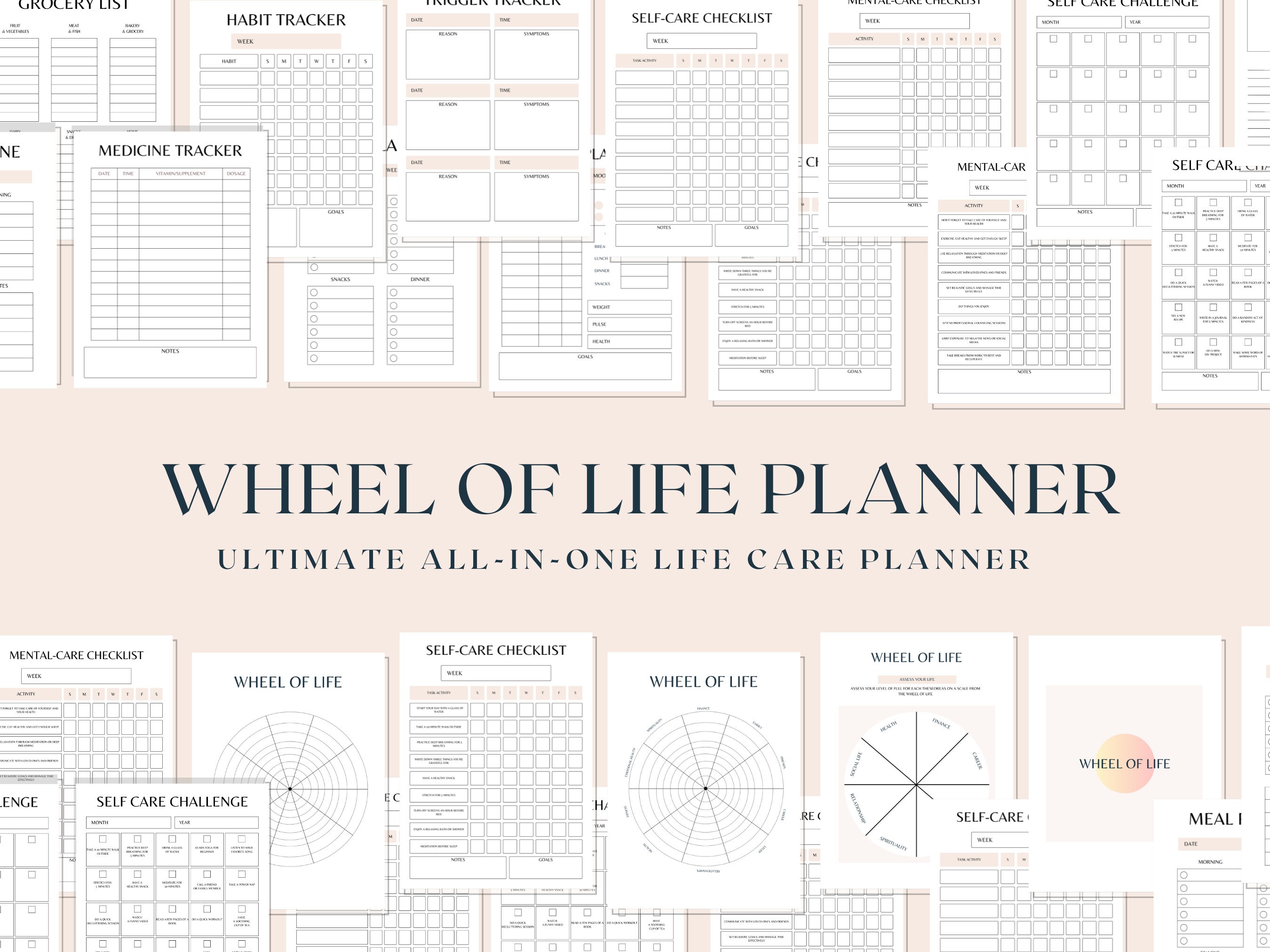 Wheel of Life Planner Printable, Daily Wheel of Life, Life Balance ...
