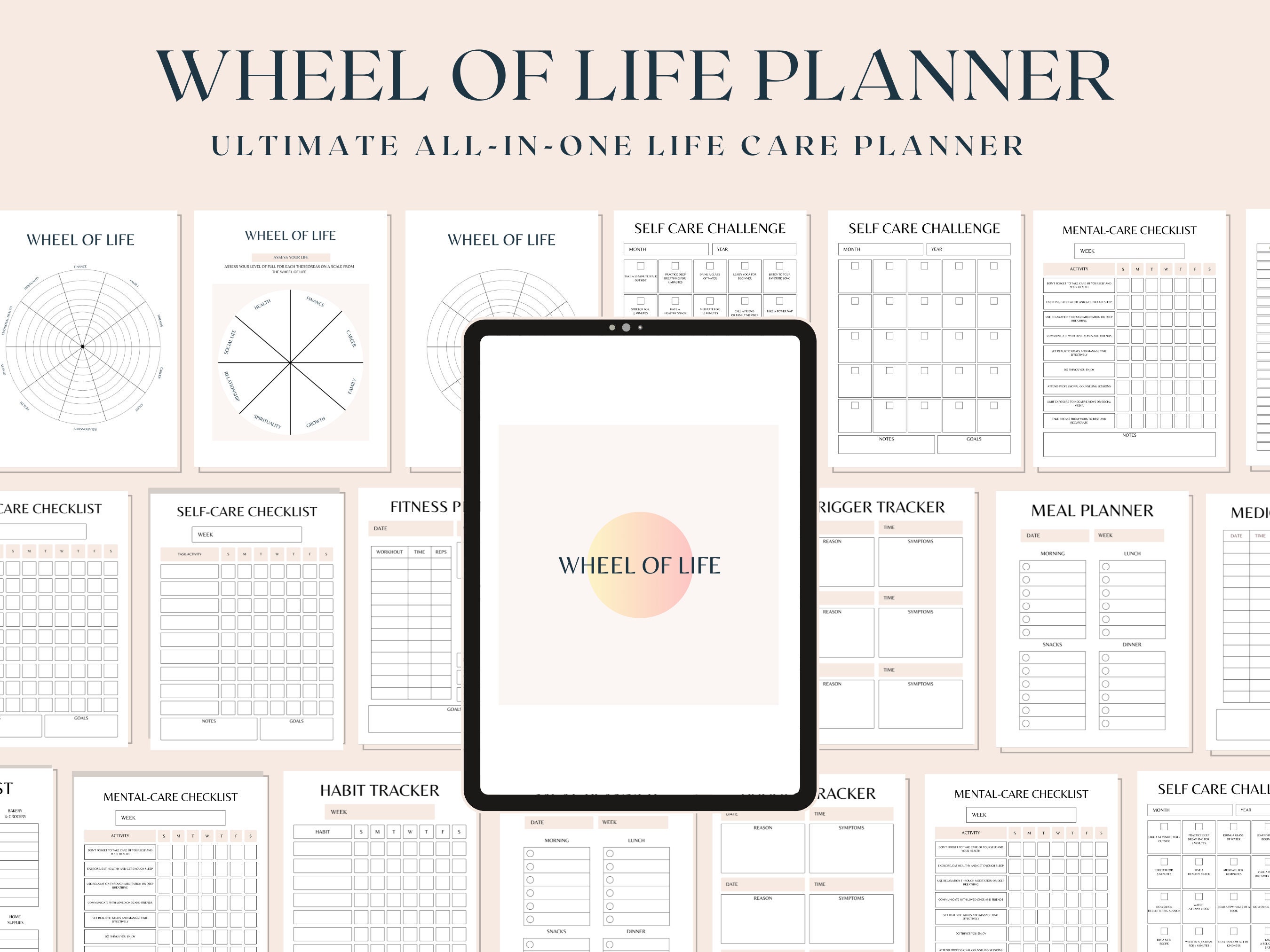Wheel of Life Planner Printable, Daily Wheel of Life, Life Balance ...